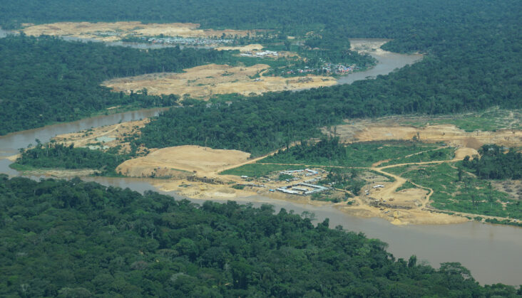 DRC: Chinese gold mining in Okapi forest reserve risks undermining ...