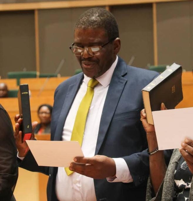 Zimbabwe: CCC imposter Tshabangu seizes senate seat, destroys opposition