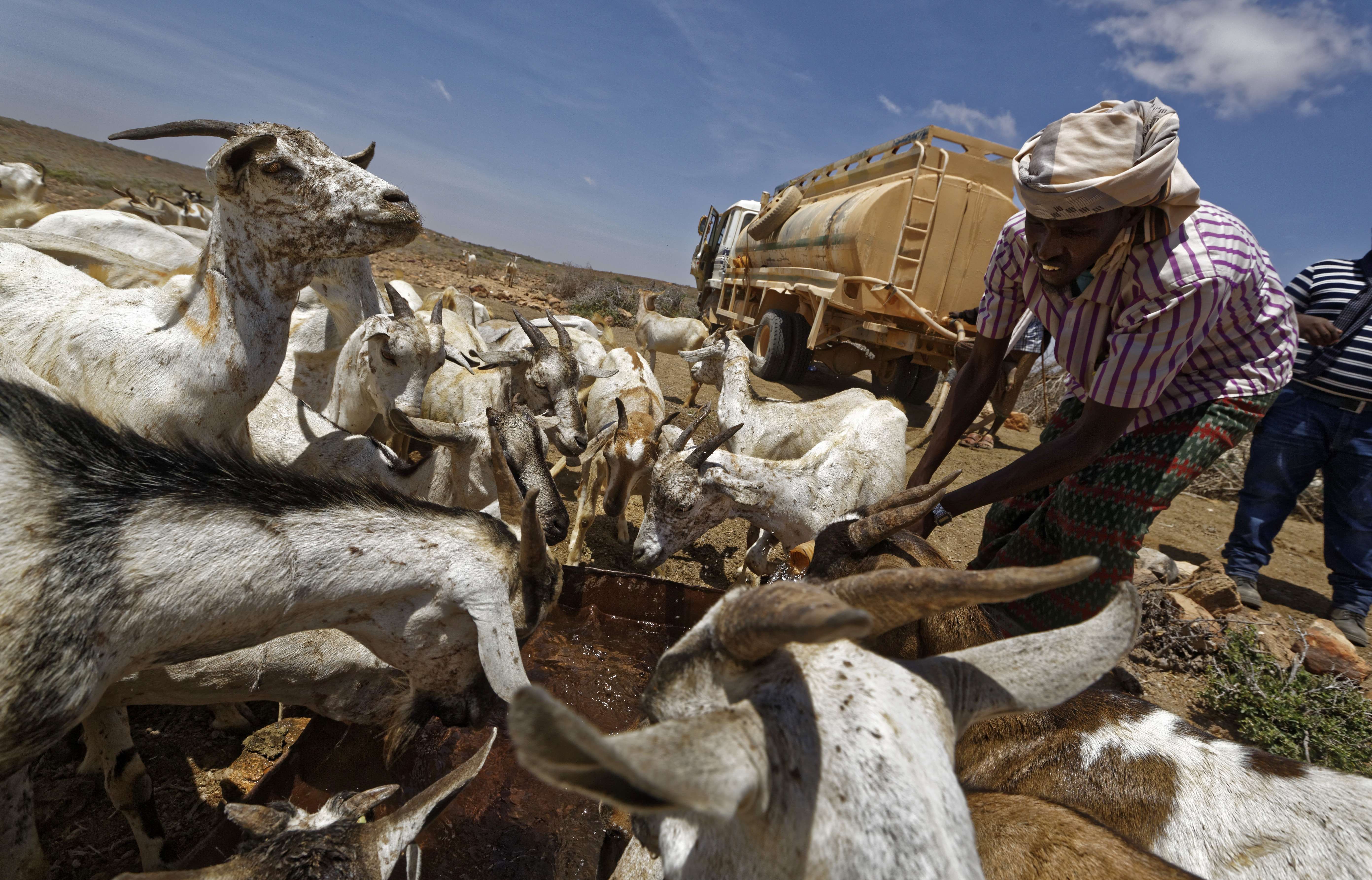 Somalia: How climate insecurity can trigger more conflict