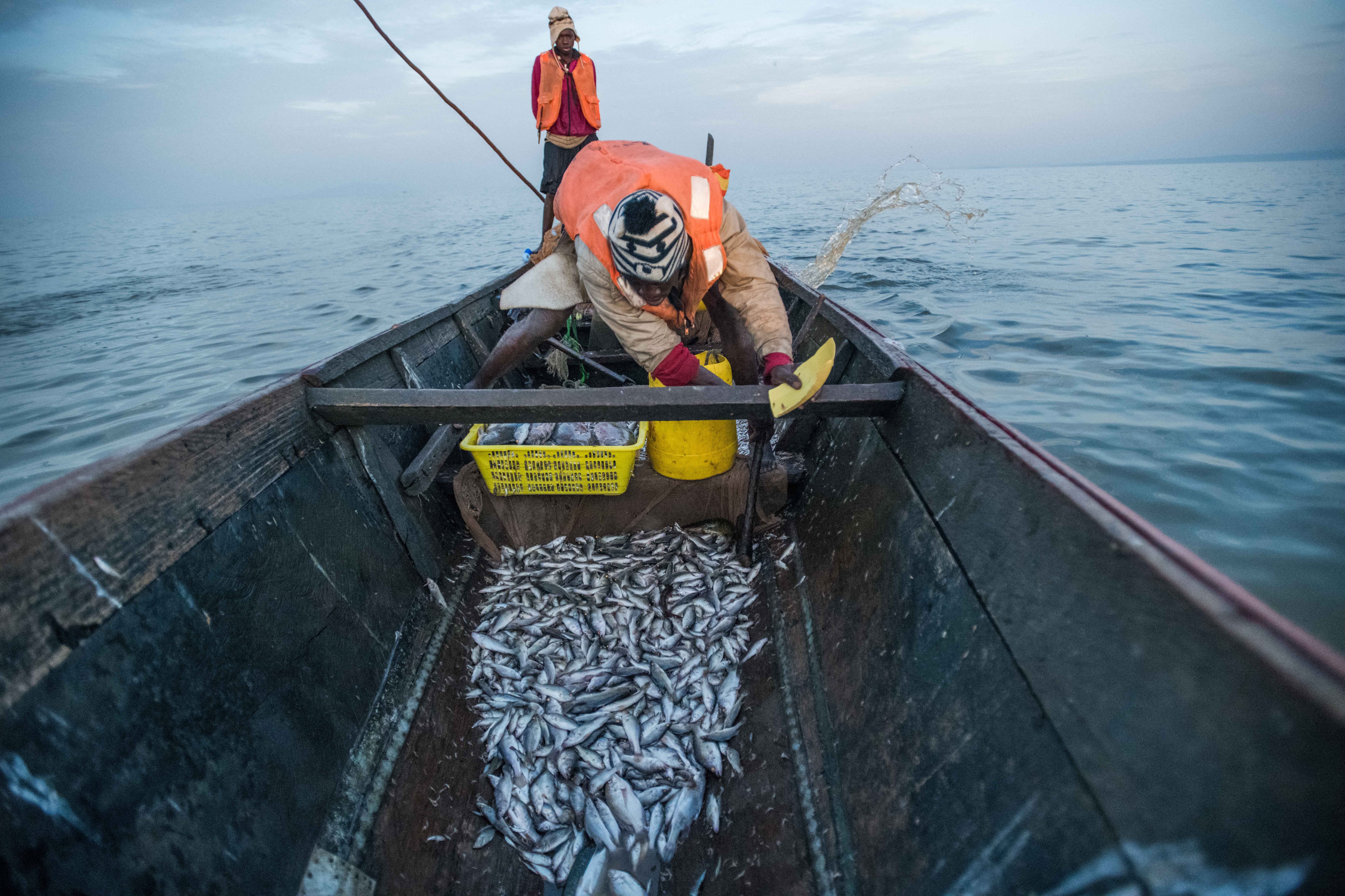 Renewed trade row as Uganda confiscates DRC-bound Kenyan fish exports