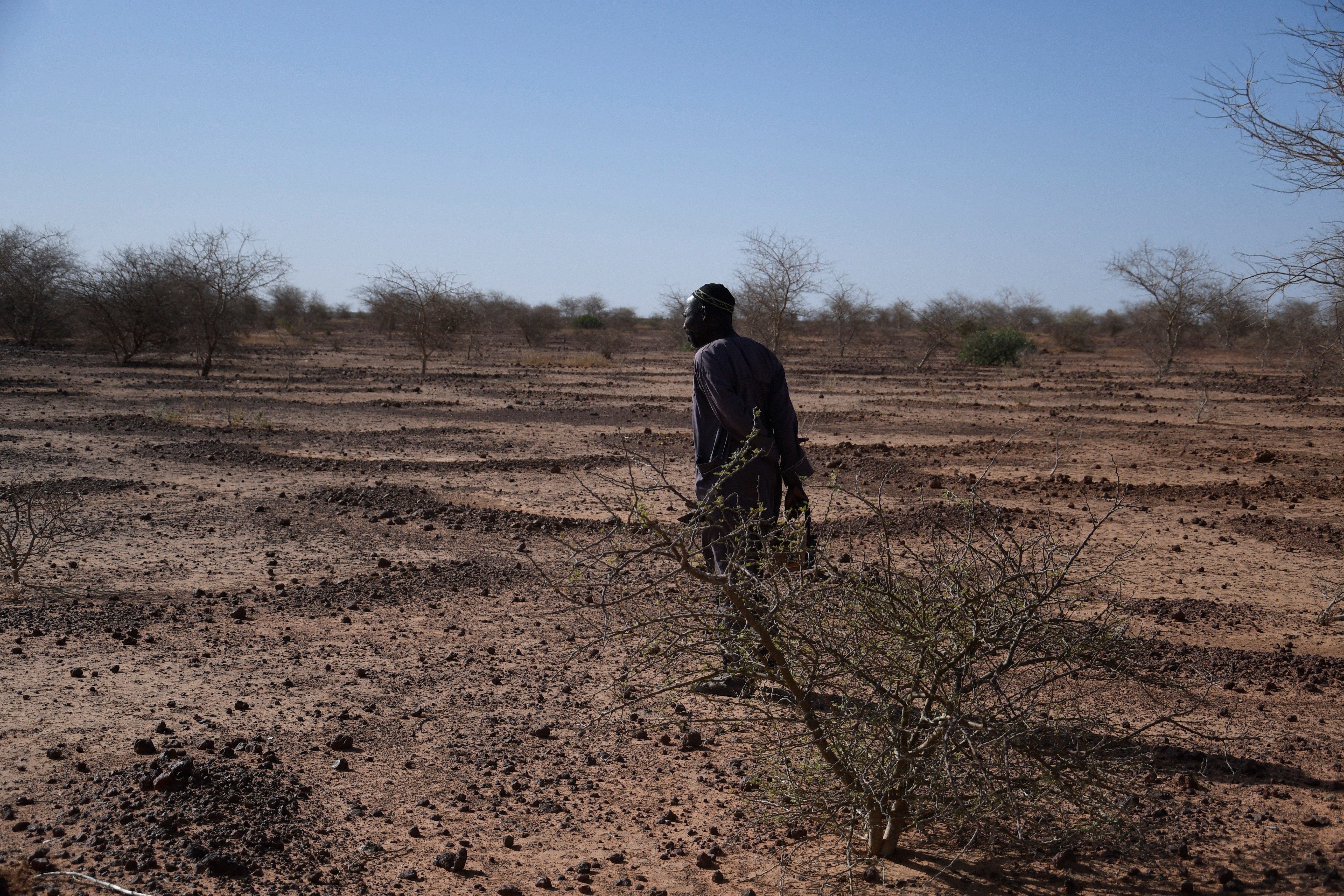 Africa’s Great Green Wall battles instability to meet 2030 deadline