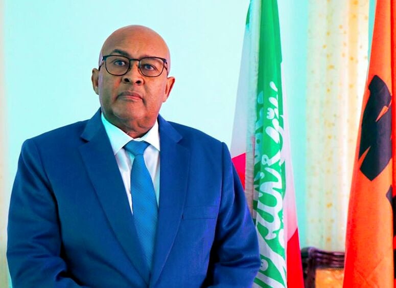 Abdirahman Irro: ‘Consensus-driven’ leader who offers new hope for ...