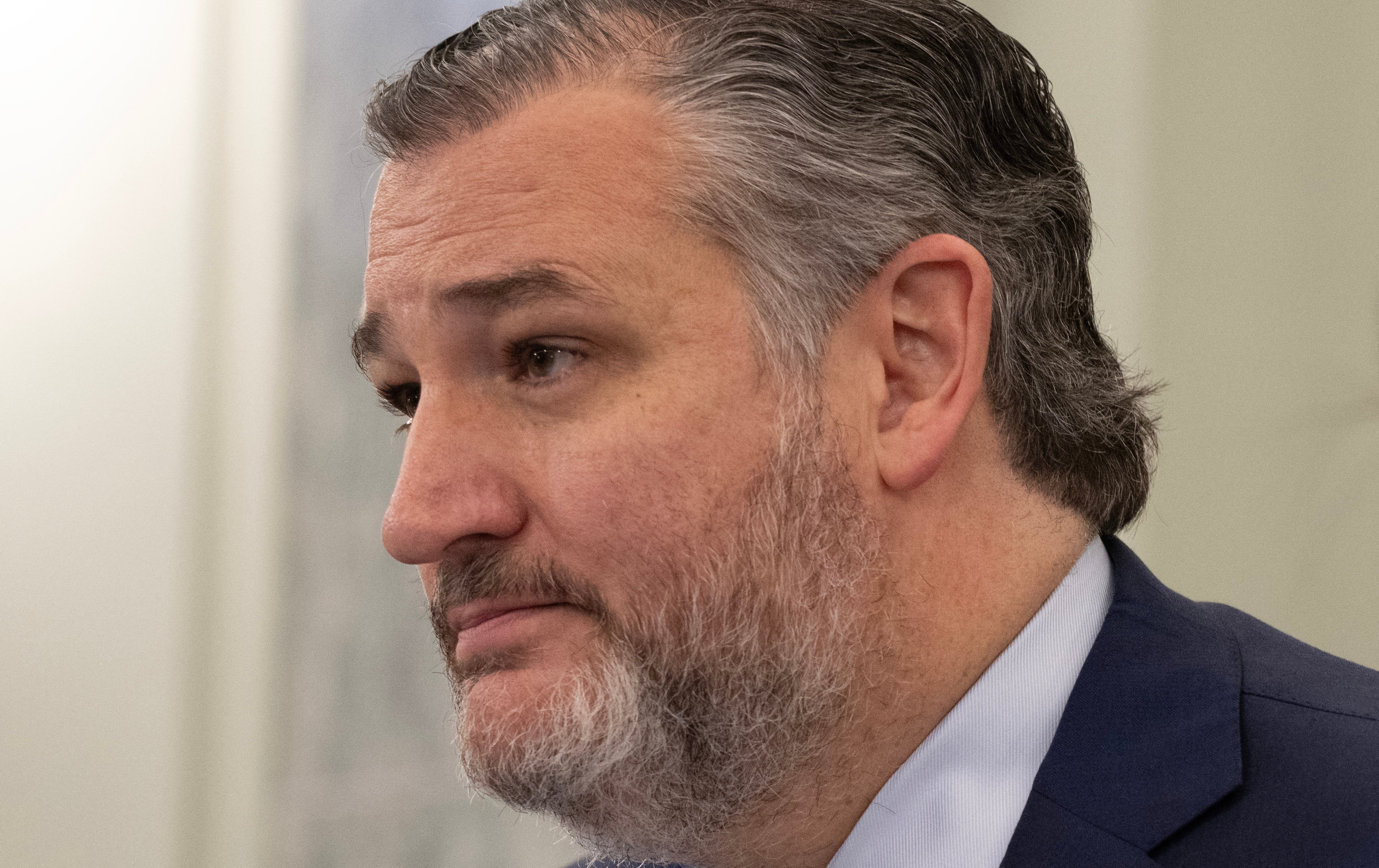 Senate Africa chairman Ted Cruz calms ambassadors’ Trump jitters