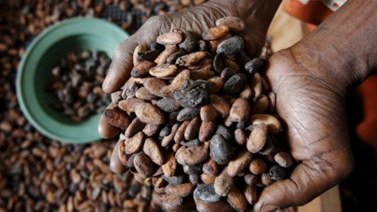 EU/Côte d’Ivoire: €1bn to support the Ivorian cocoa sector, really ...