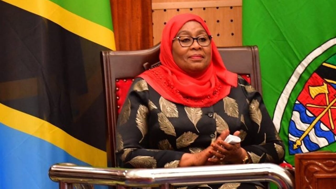 Tanzania: Will Samia crack the whip on ministries over irregular deals ...
