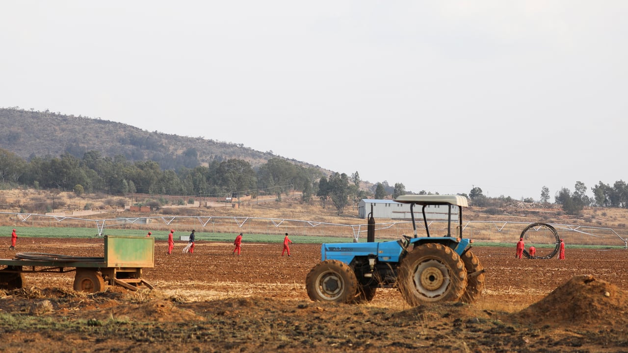 Africa’s youth are ‘leading a revolution to transform African food ...