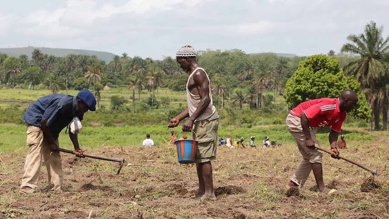 Will the international community stand with Africa in the latest crises ...