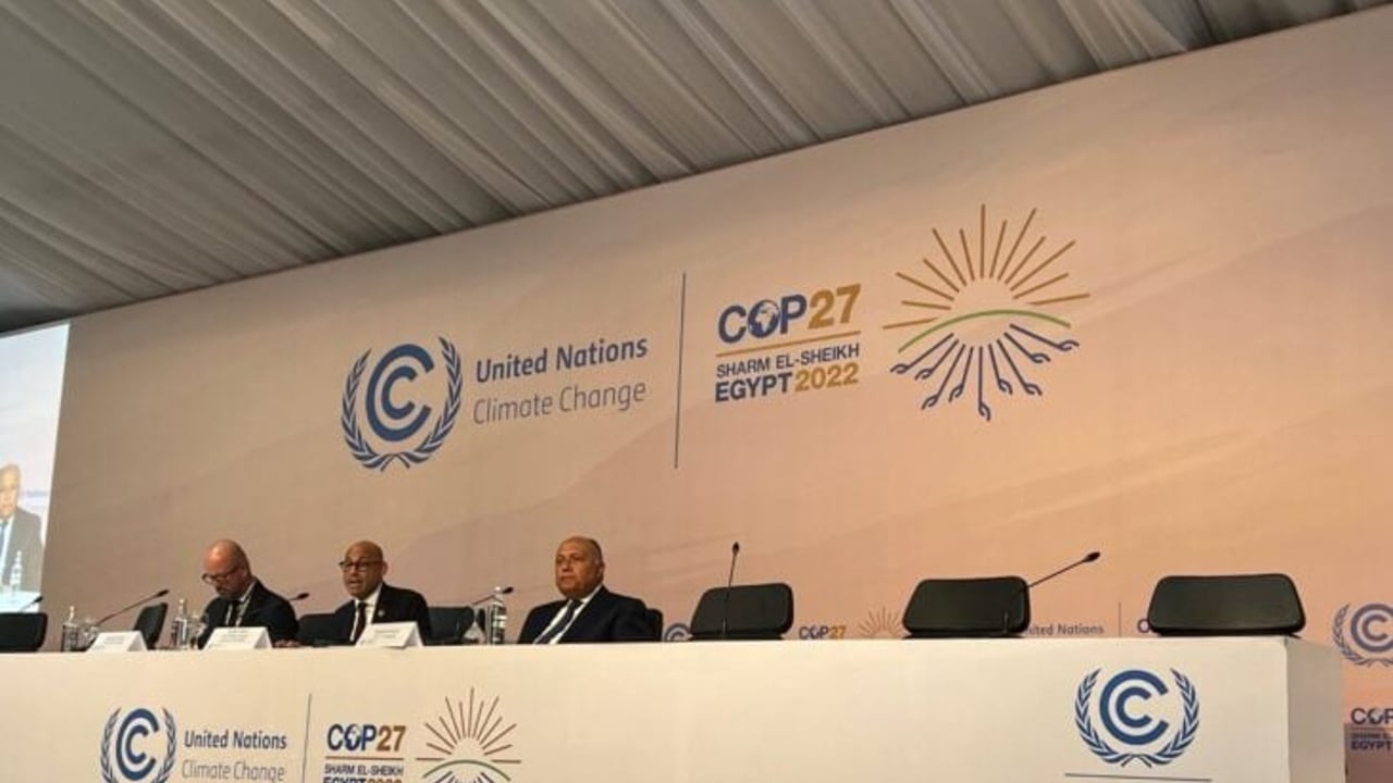 Egypt COP27: Loss & Damage officially on agenda, what is it and why is ...