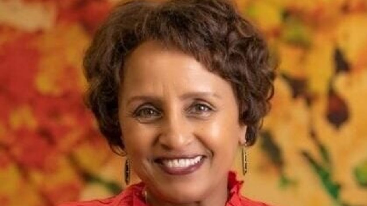 Silicon Valley’s Almaz Negash looks to engage African diaspora ‘beyond ...