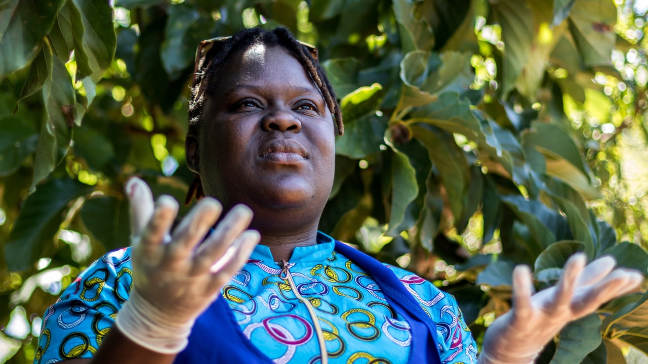 Zimbabwe: Women politicians sidelined ahead of 23 August polls - The ...