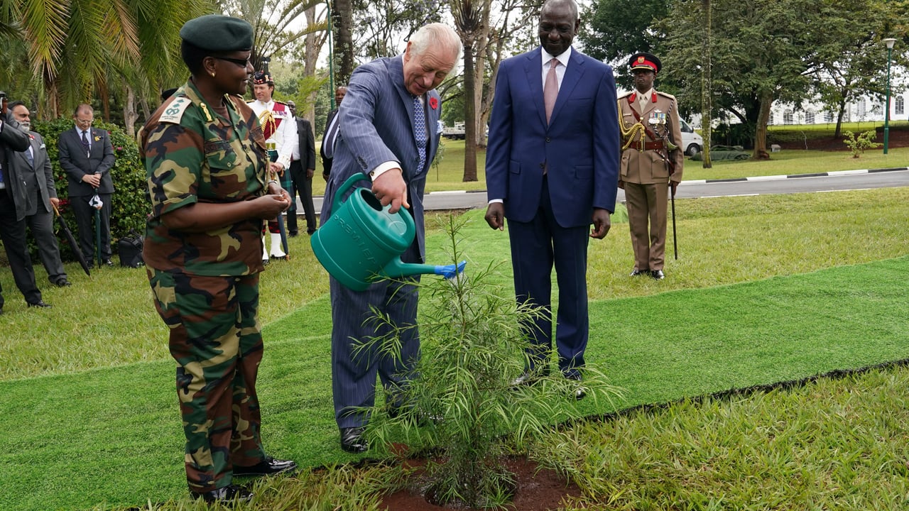 Kenyans get a surprise holiday to plant trees, as Ruto’s inconsistency ...