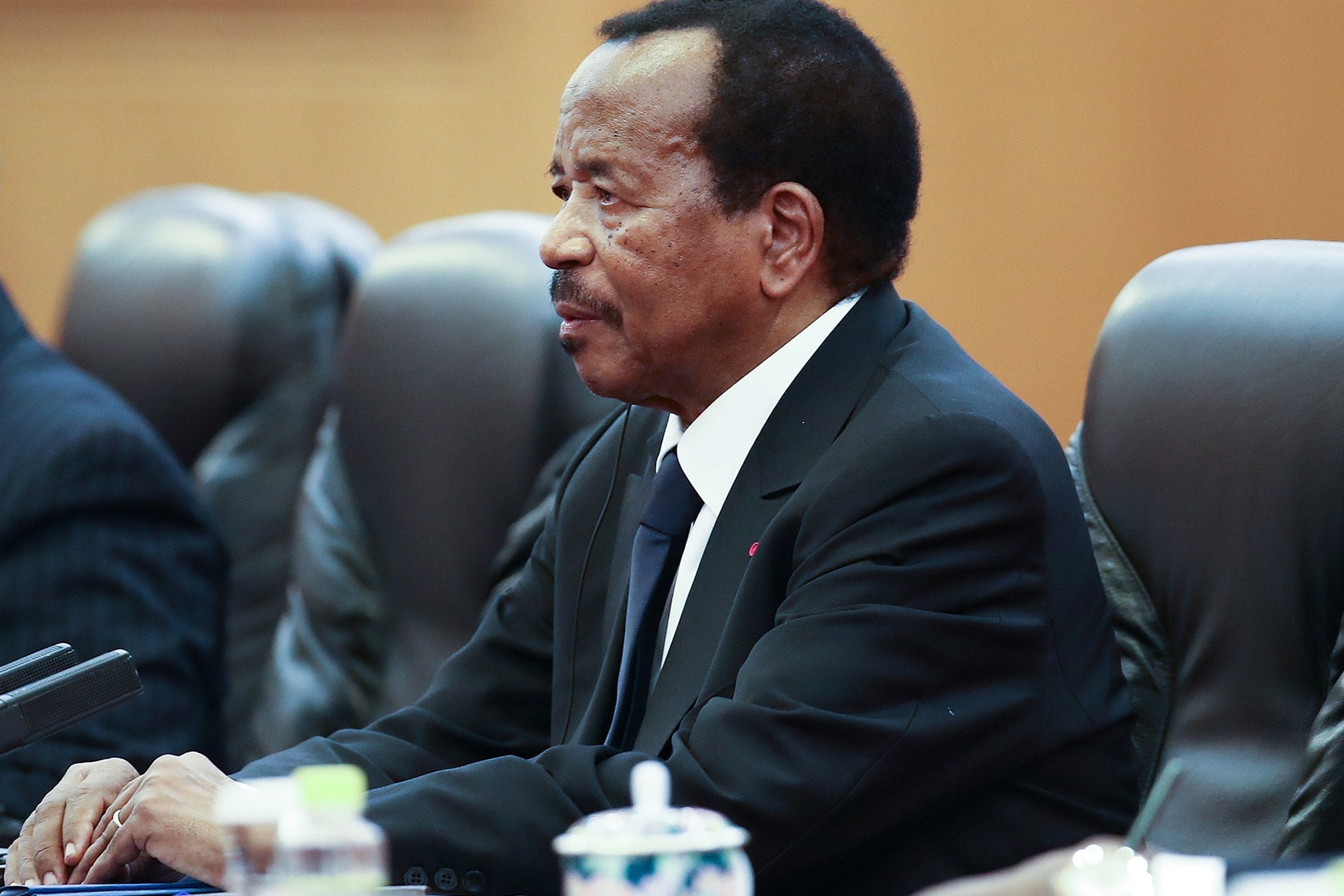 Cameroon: How Paul Biya’s strategists are trying to lock up the next ...
