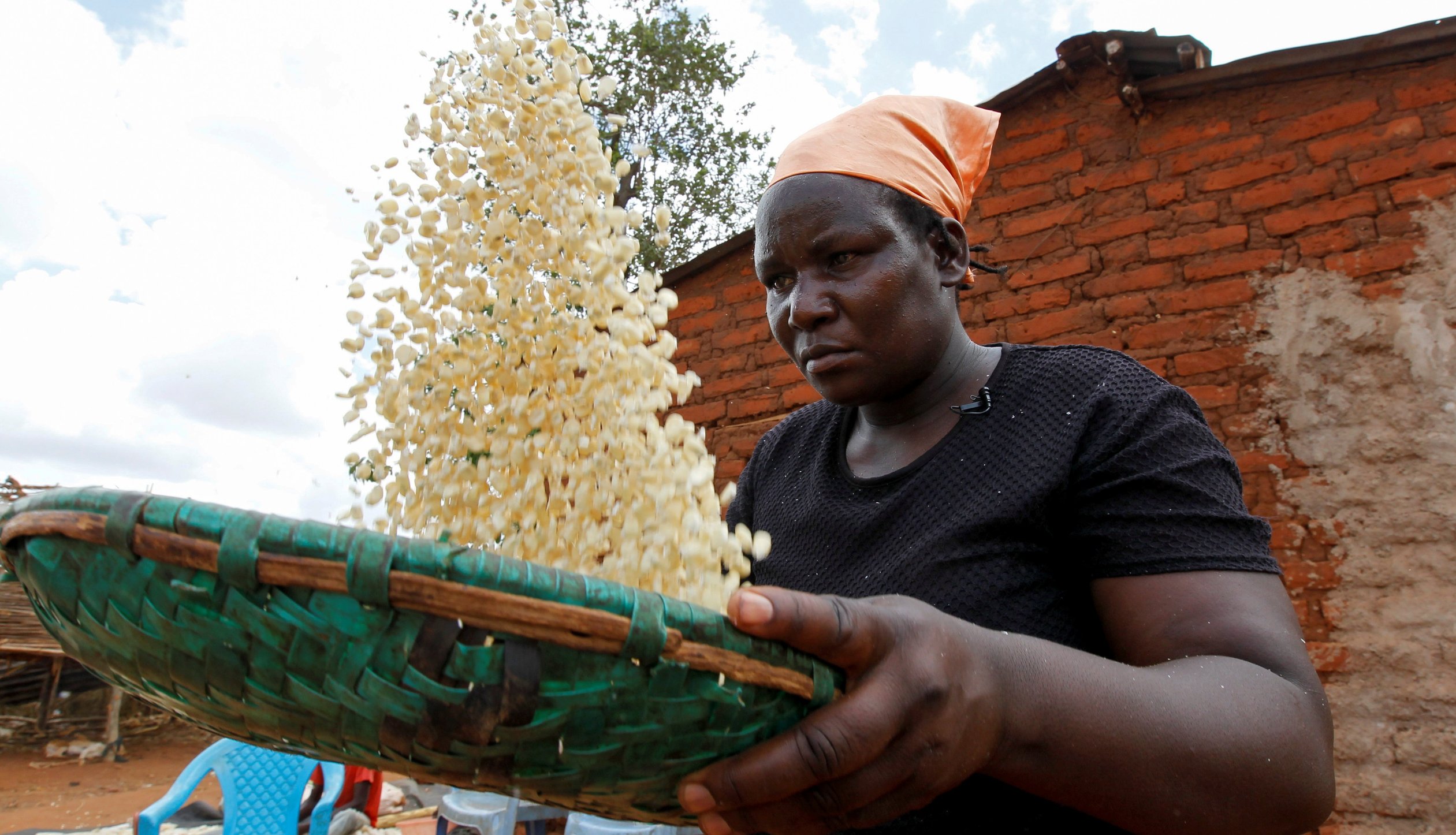 What’s behind Africa’s skyrocketing imports yet increased production ...