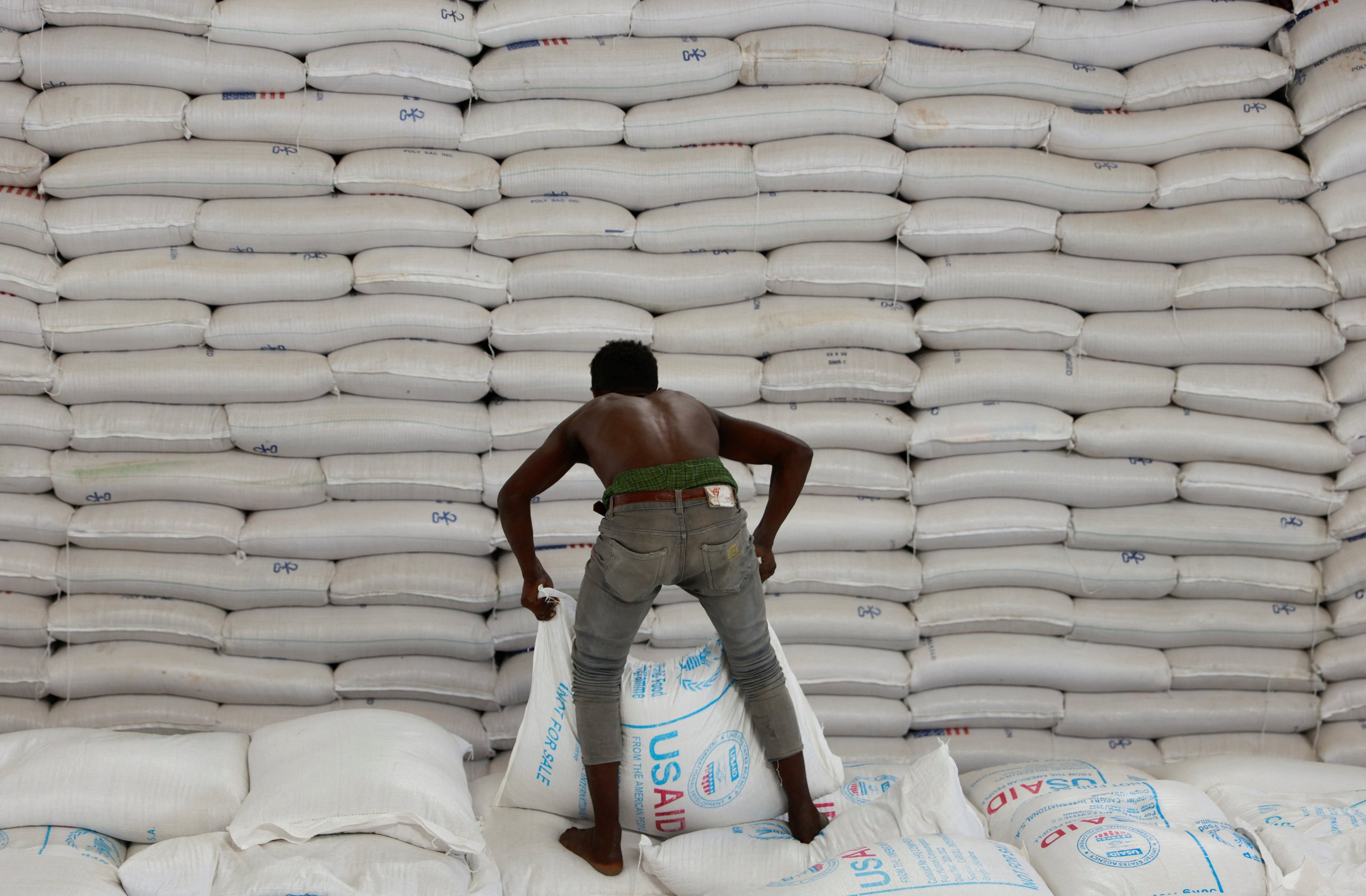 Africa: ‘All our food challenges can be solved through local expertise’