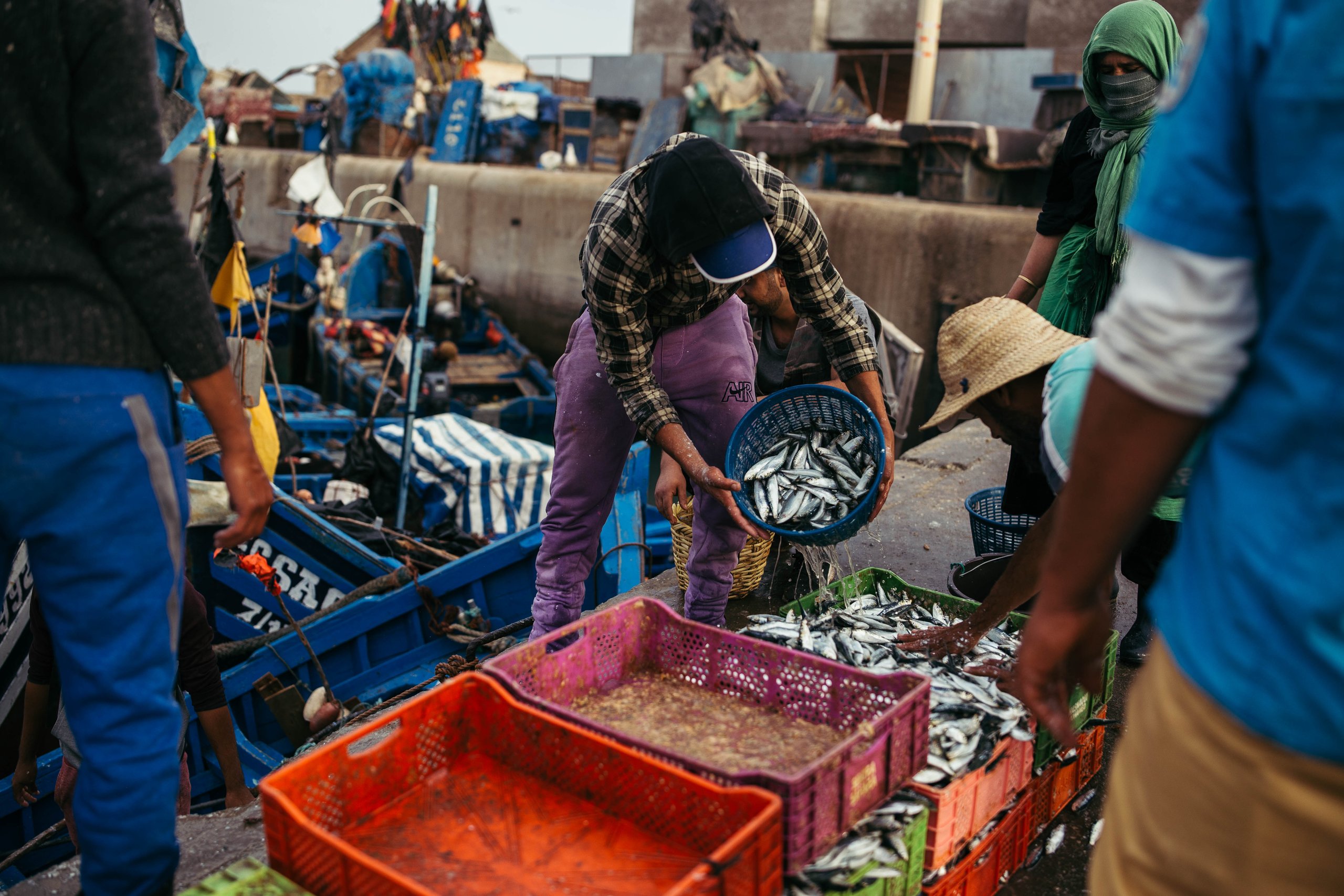 Western Sahara: Looking at EU-Morocco fisheries deal on the ground