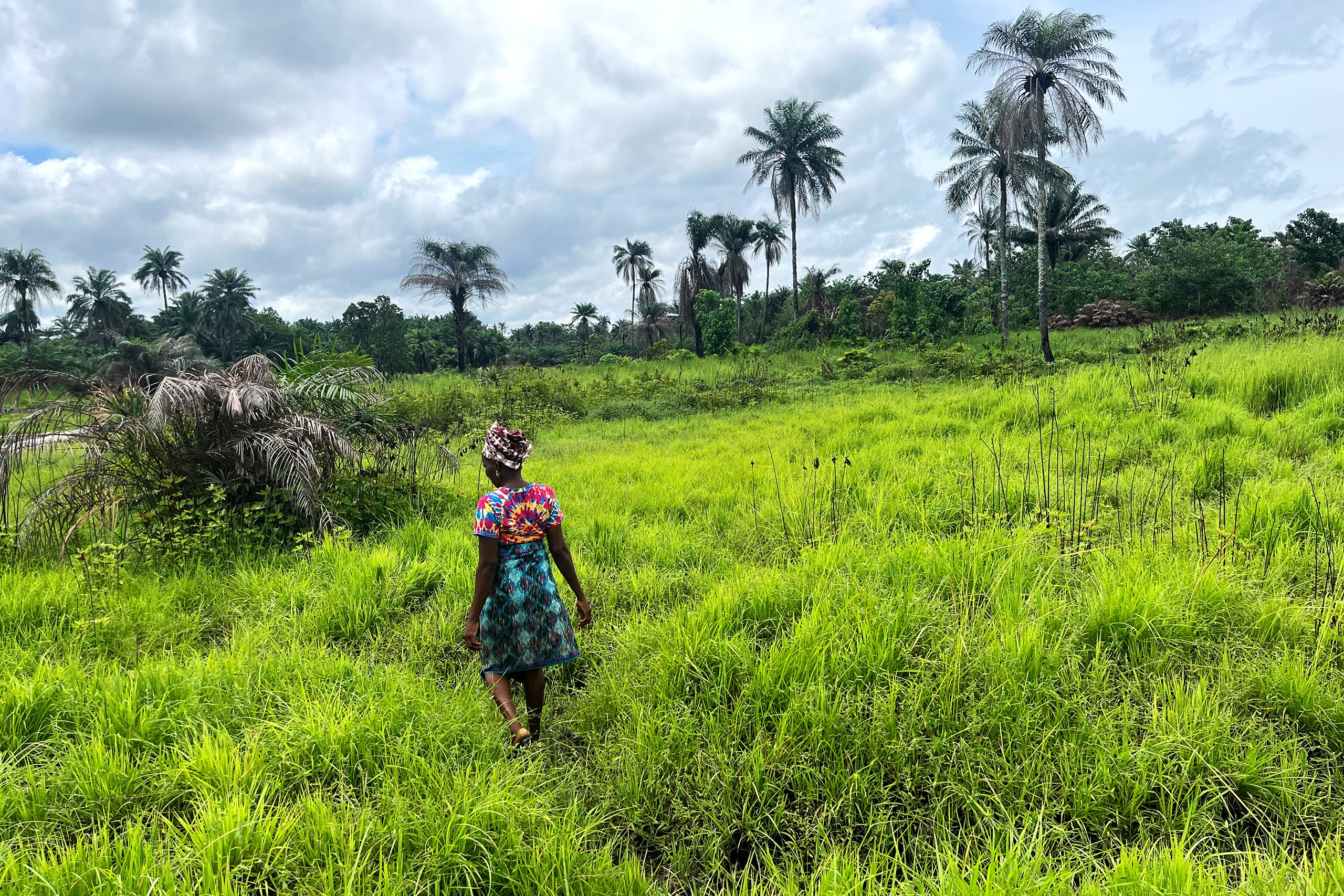 Sierra Leone: Taking the farm road to self-sufficiency