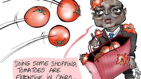 Senegal : latest political and business news| The Africa Report