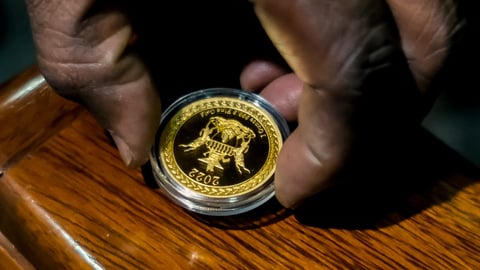 Zimbabwe : latest political and business news| The Africa Report