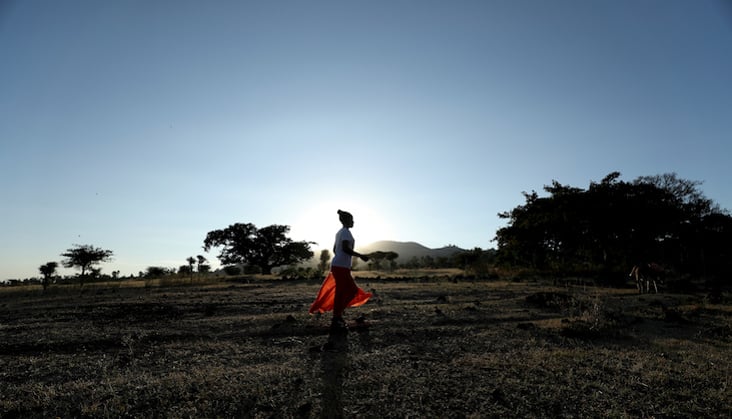 Ethiopia unites in planting for the future - The Africa Report.com