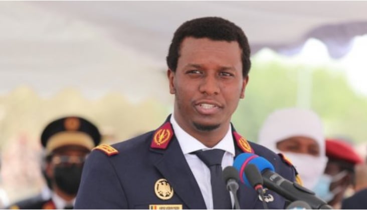 Chad: Fears of dynasty succession as sons of former president Idriss ...