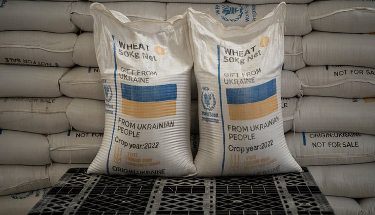 Ethiopia seeks regional breadbasket title, boosts wheat production ...
