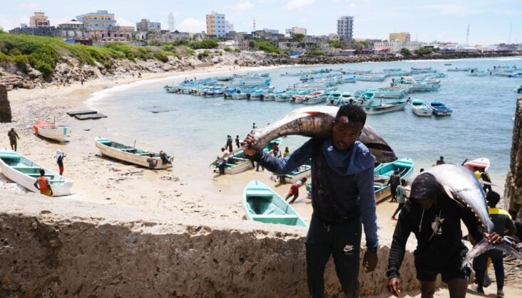 Horn of Africa: Egypt’s ‘strategic balance’ disguises regional ambitions