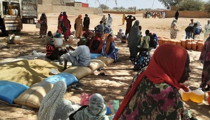 Sudan: Last battle for Darfur rages in El Fasher - The Africa Report.com