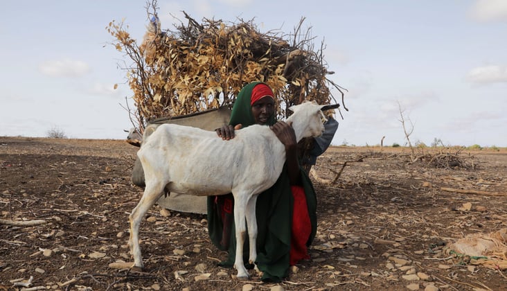 Africa could produce enough food ‘to feed the world’ if agricultural ...