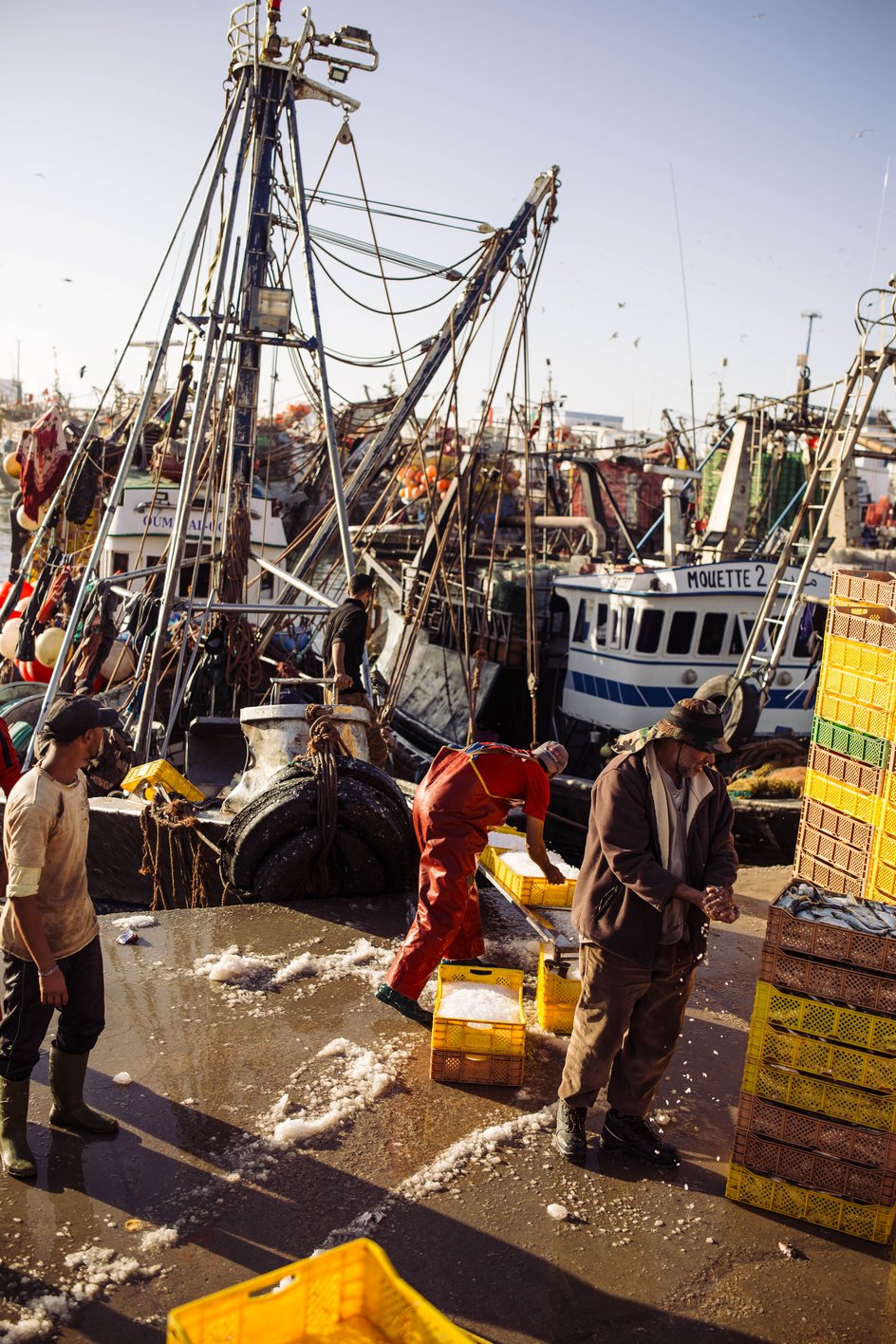 Western Sahara: Looking at EU-Morocco fisheries deal on the ground ...