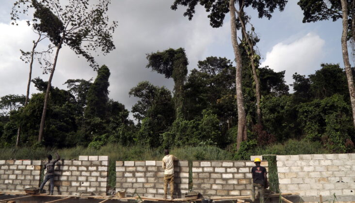Africa: $200m investment to spur forestry, conservation efforts in sub ...