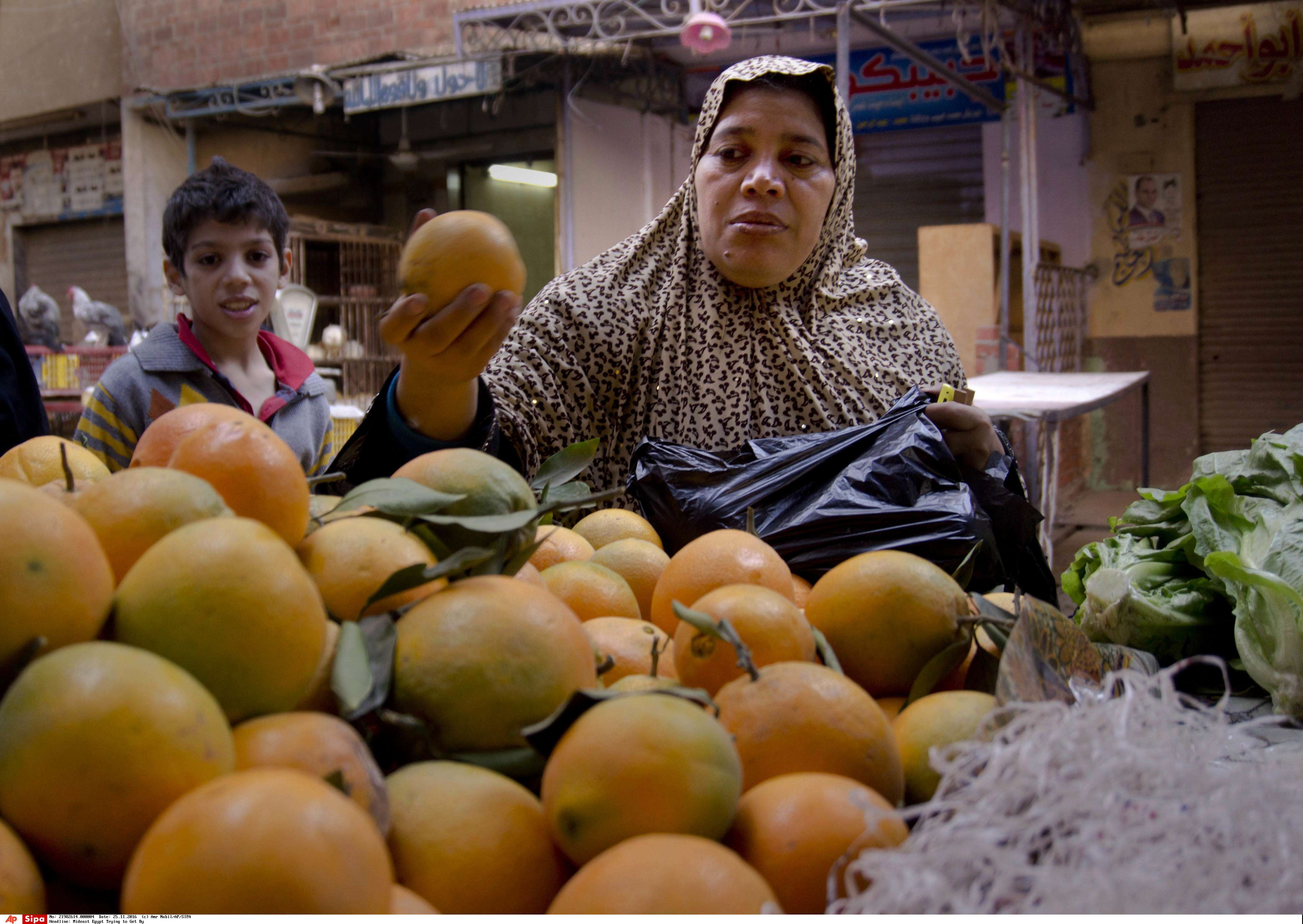 Egypt: Why going green is not a ‘luxury’ many can afford without ...
