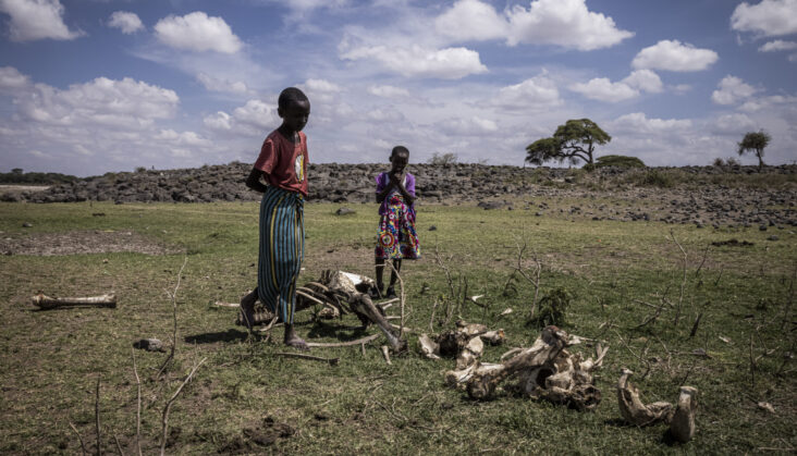 Kenya, Somalia…latest Horn of Africa climate outlook looks dry - The ...
